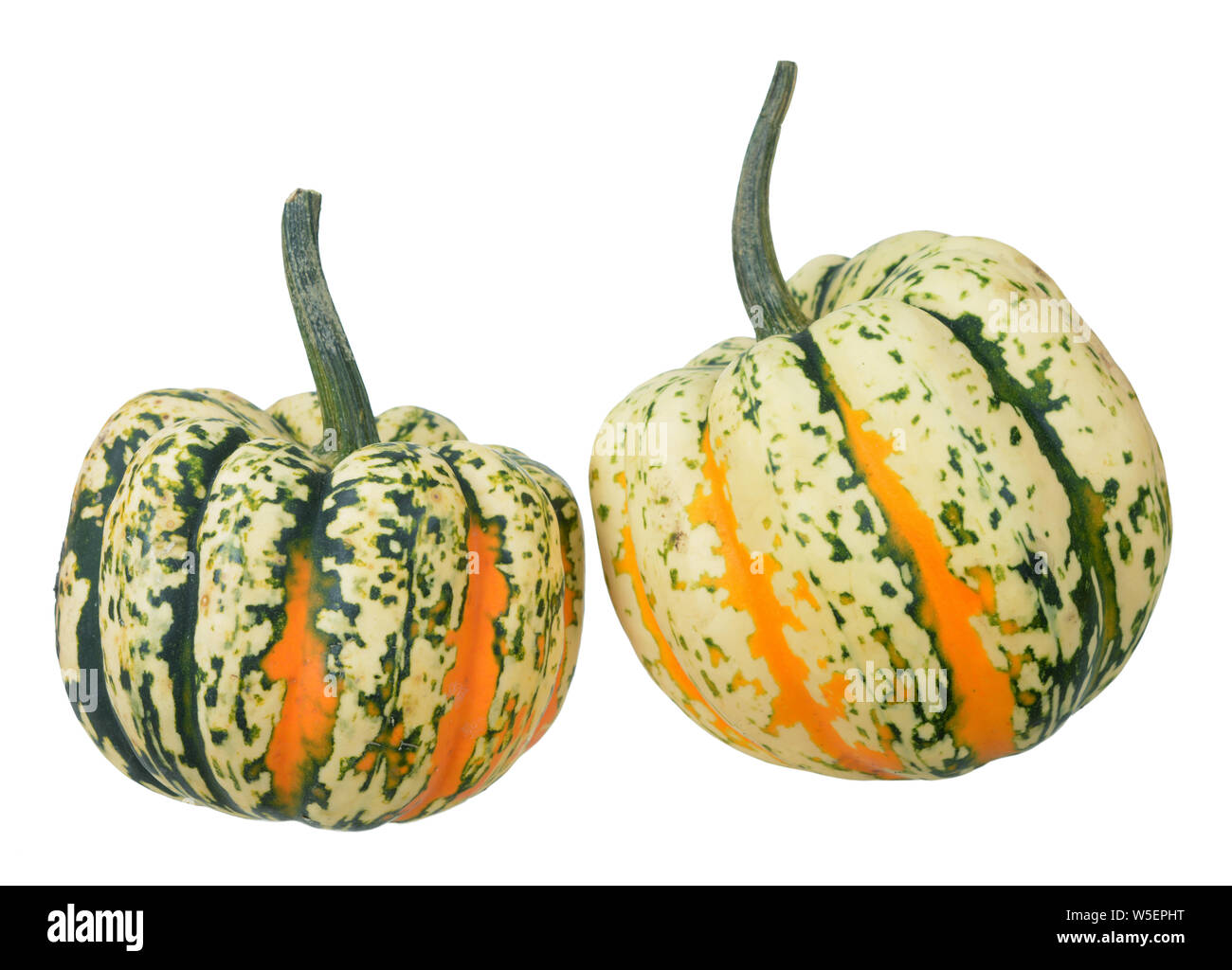 two mini pumpkins isolated on white background Stock Photo - Alamy