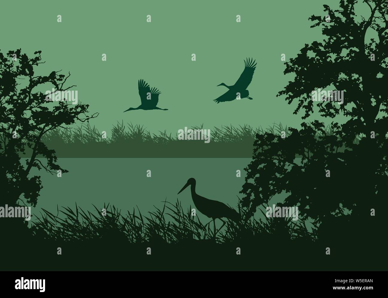 Wetland garden Stock Vector Images - Alamy