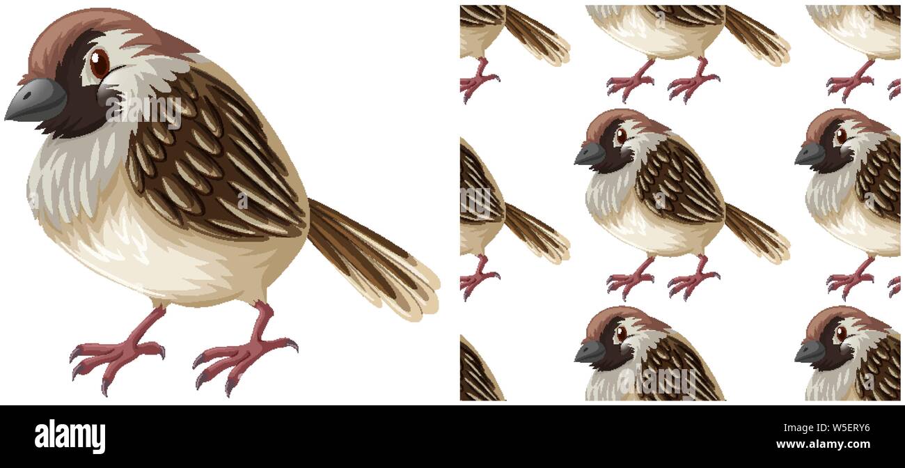 Finch wings Stock Vector Images - Alamy