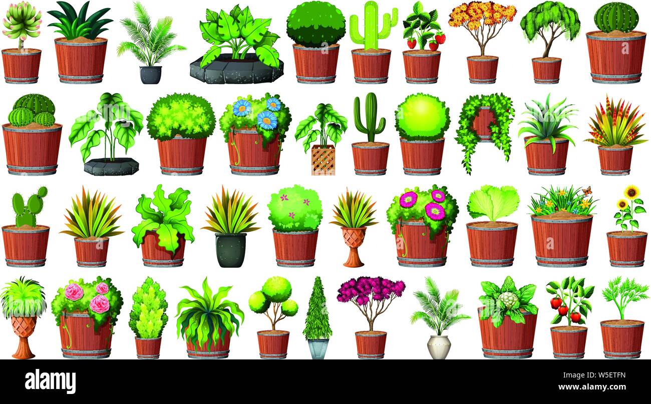 Potted outdoor plants Stock Vector Images - Alamy