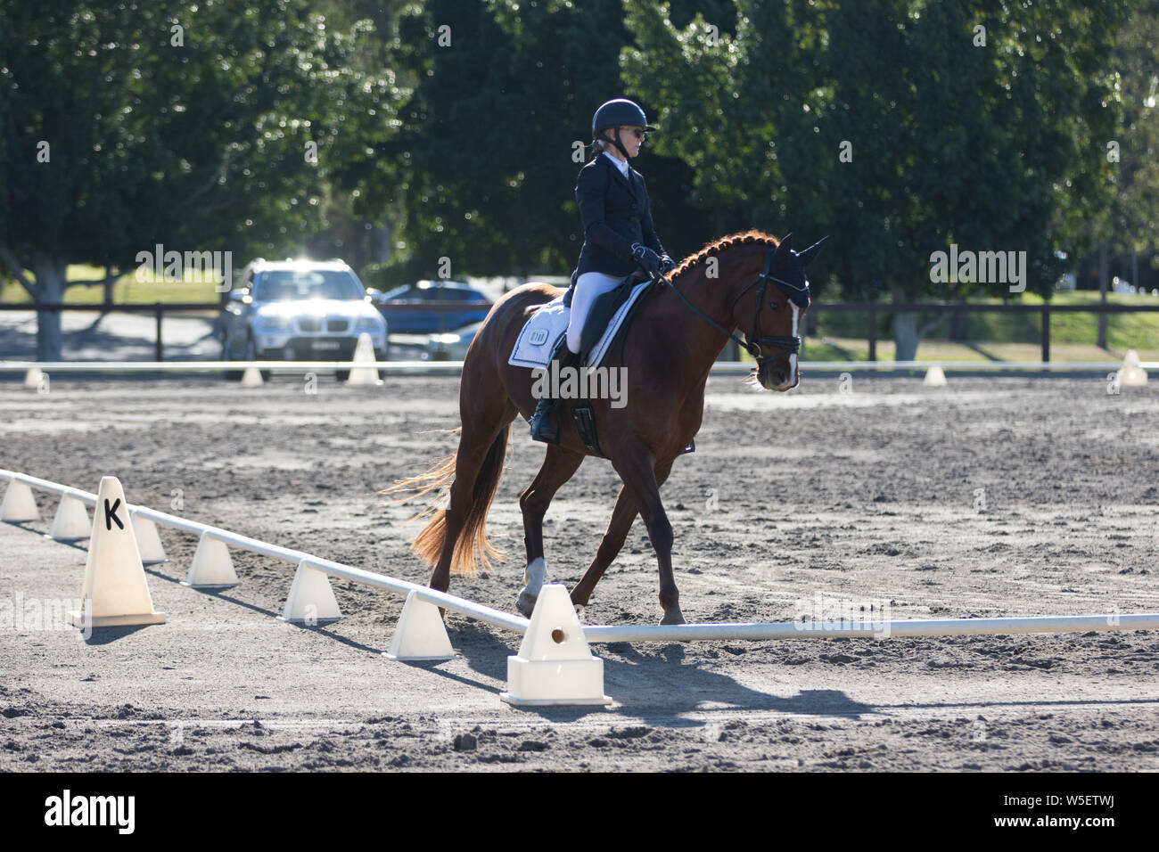Robyn Westley-Smith rides Bangalow Creek Summer during the Sydney ...