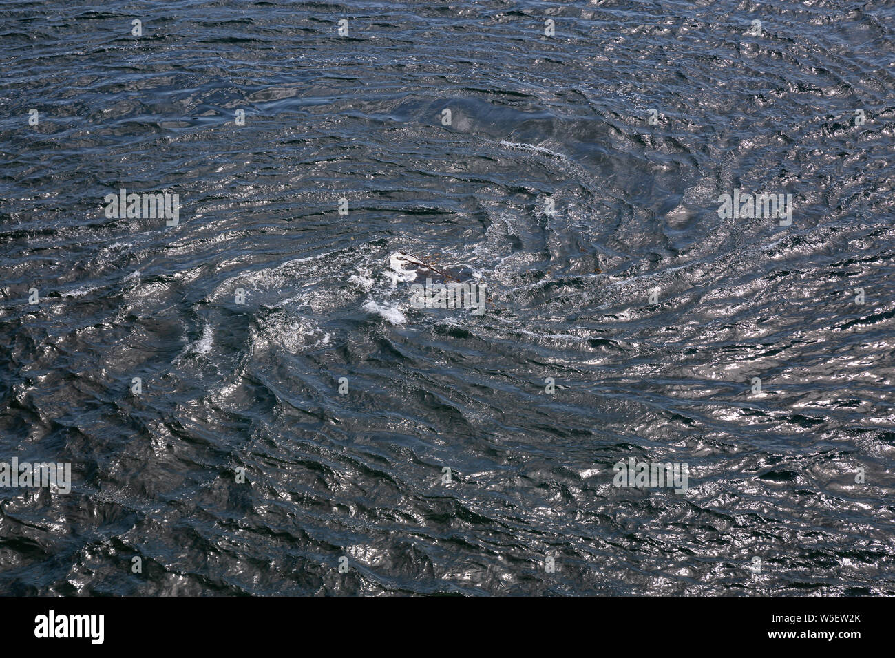 Dangerous whirlpool currents caused by tides in the Gulf Islands near ...