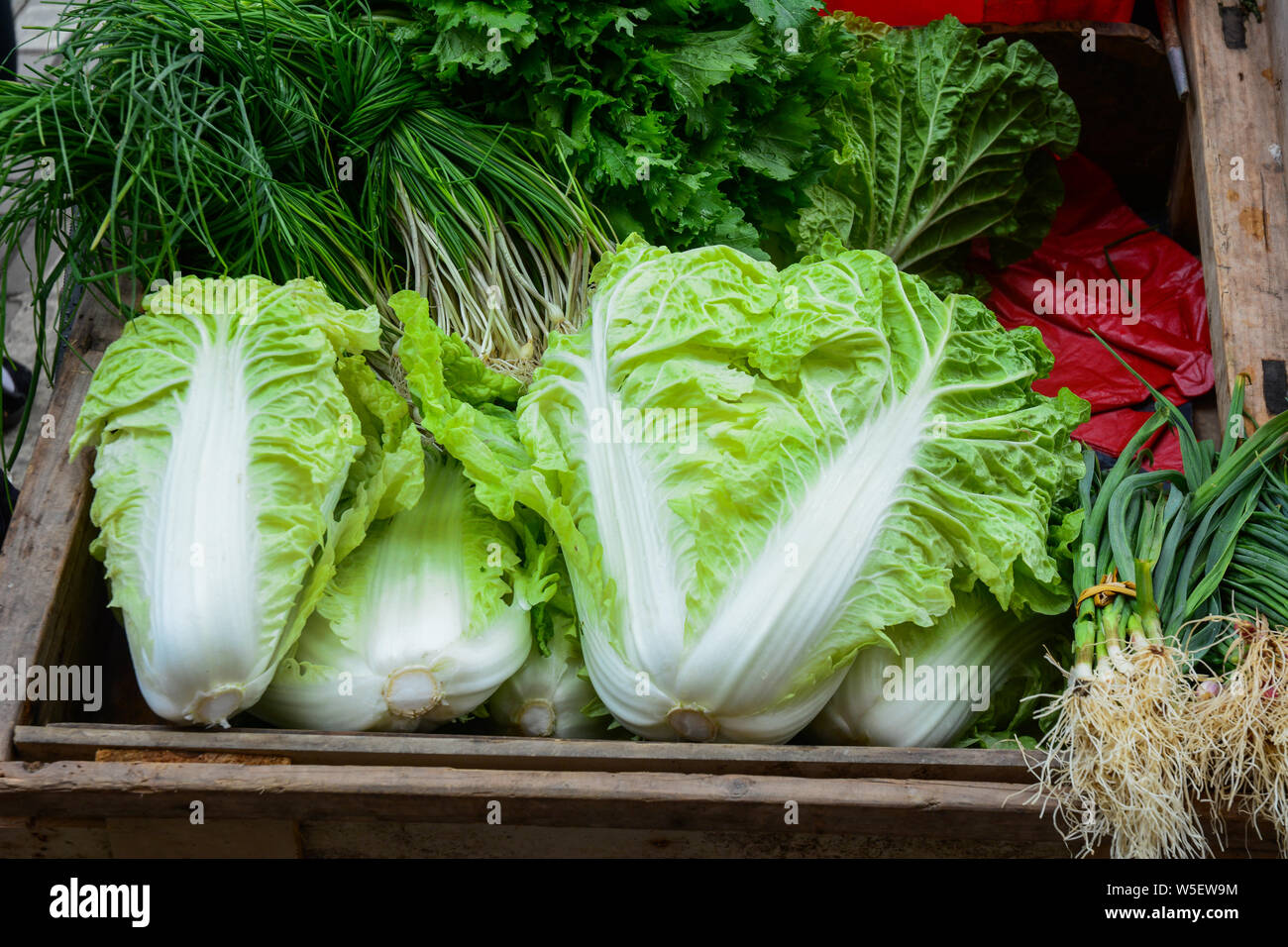 Fresh lettuce vegetable at rural market in Saigon, Vietnam Stock Photo ...