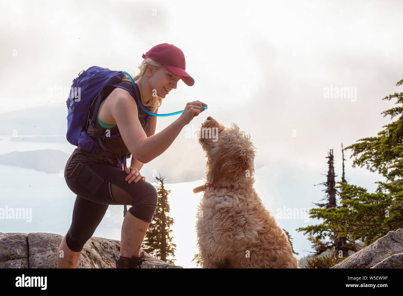 Adventurous Woman Hiker and dog are dinking water during a cloudy and ...
