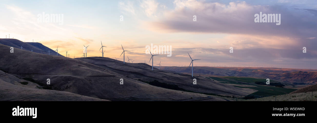 Beautiful Panoramic Landscape View of Wind Turbines on a Windy Hill ...