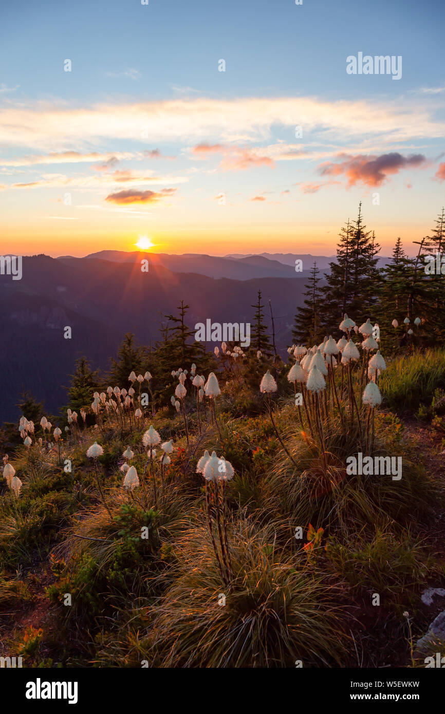 Beautiful View of American Mountain Landscape during a vibrant and ...