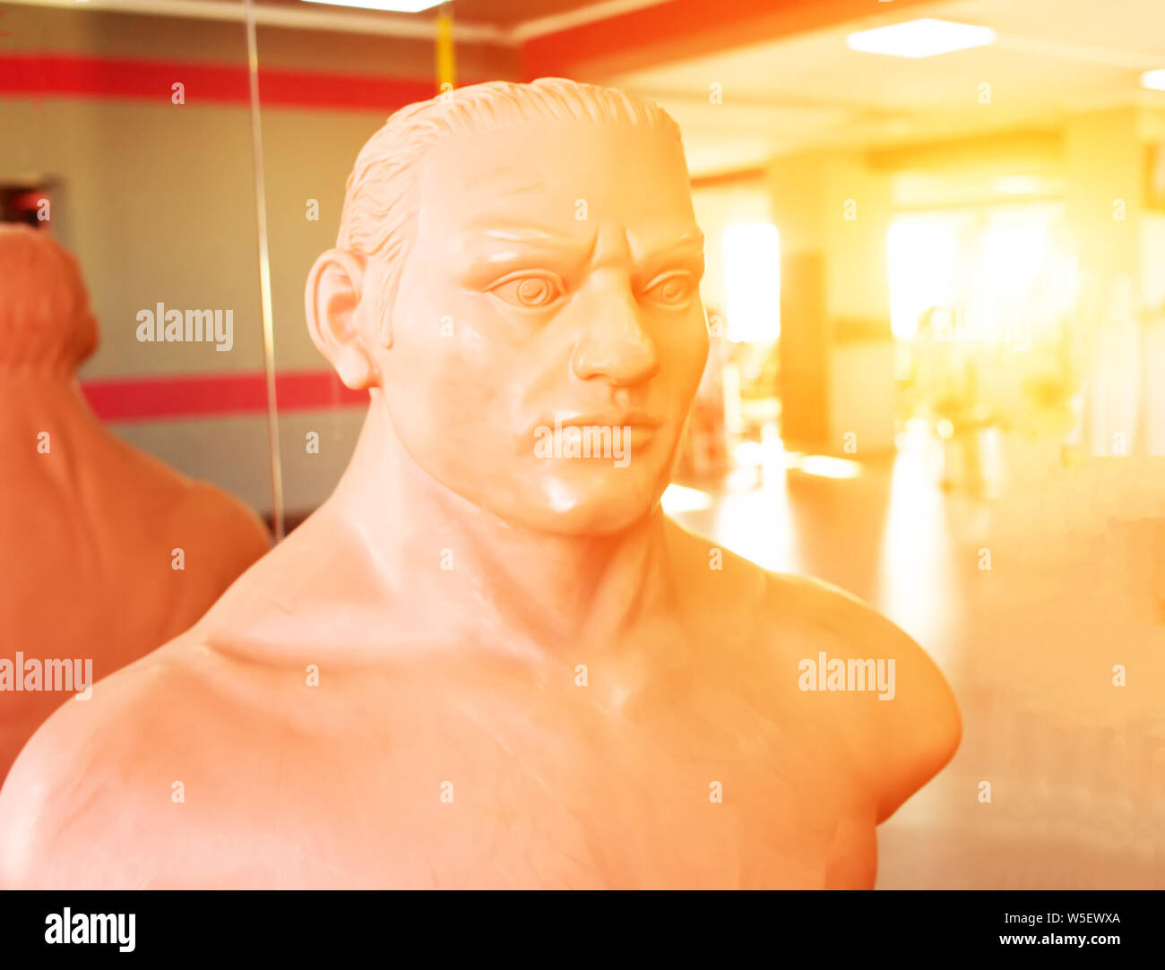 dummy for boxing and practicing punches in martial arts in the ...