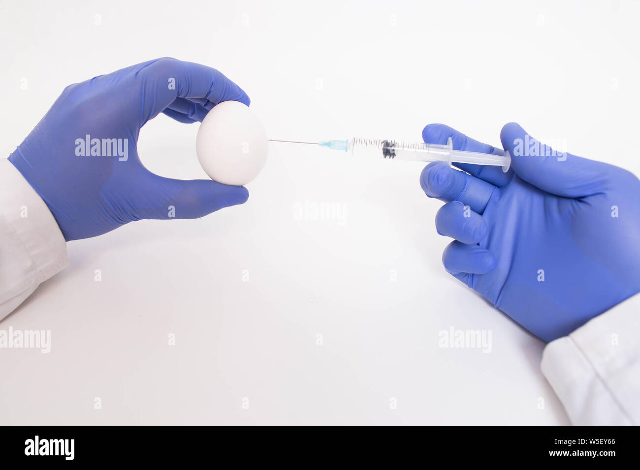 Scrotum hi-res stock photography and images - Alamy