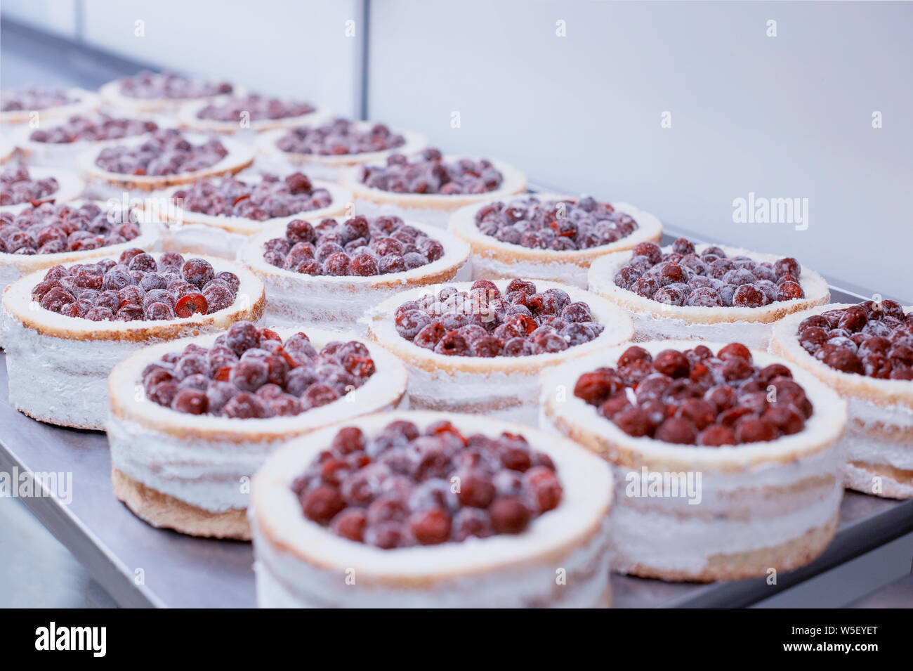 Confectionery production for the manufacture of sponge cakes with fresh ...