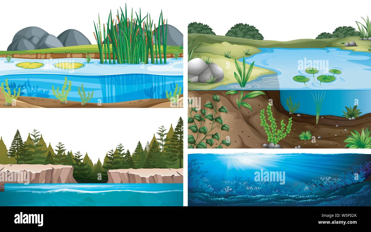 Aquatic ecosystems with pond, lake, river illustration Stock Vector ...