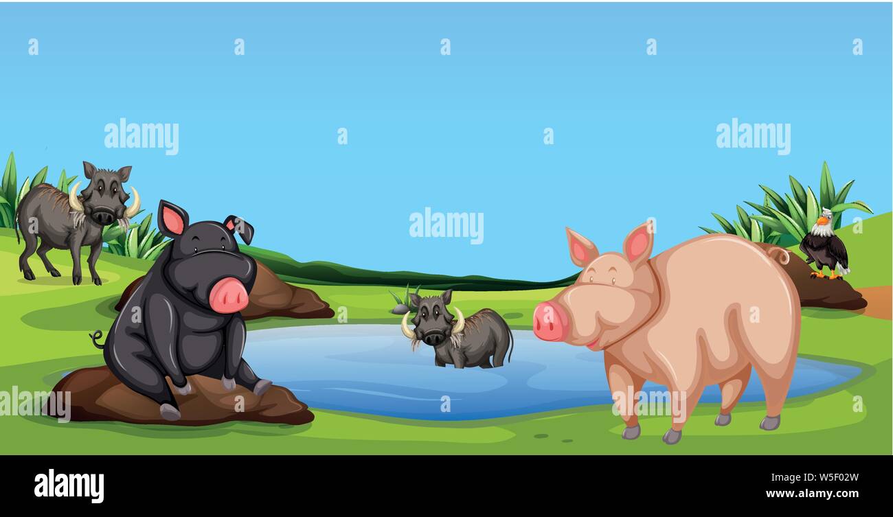Pigs surrounding a pond during the day illustration Stock Vector Image ...