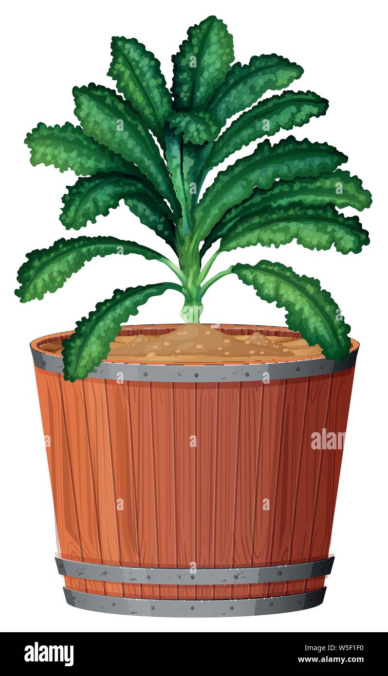 Plant in pot with soil isolated illustration Stock Vector Image & Art ...