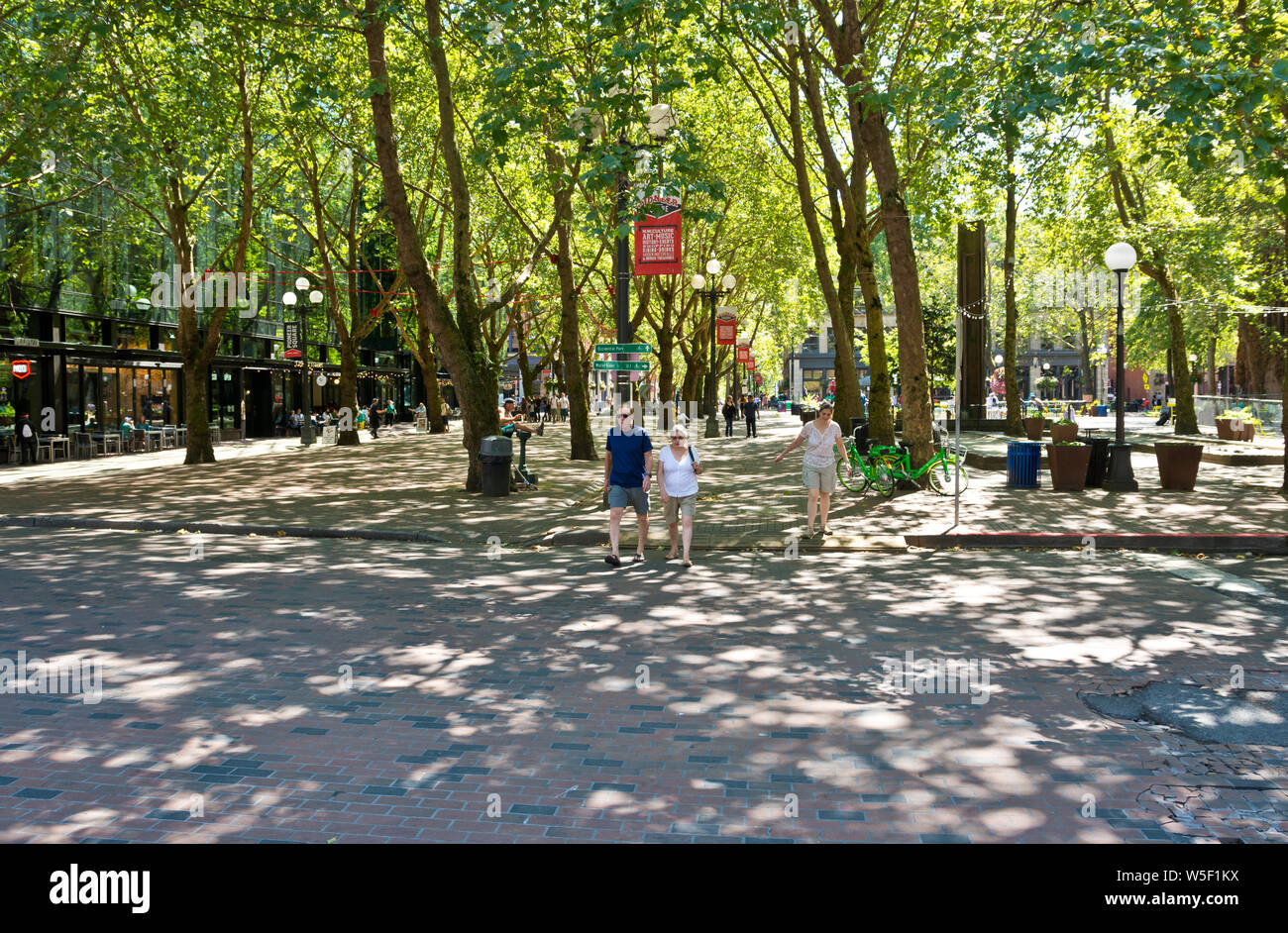 Pedestrian space with trees in Pioneer Square neighbourhood of Seattle ...