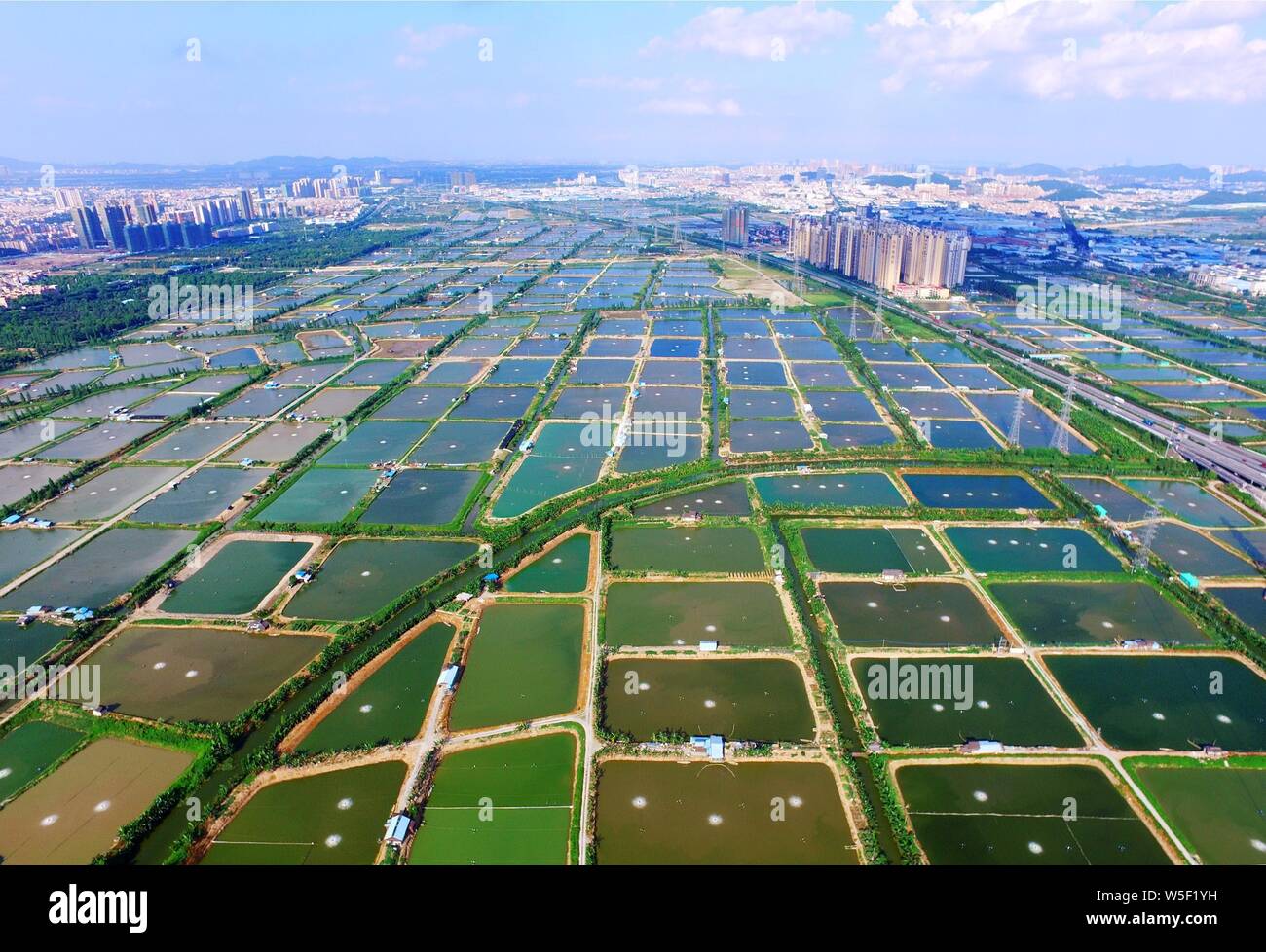 An aerial view of Foshan city, south China's Guangdong province, 21 ...