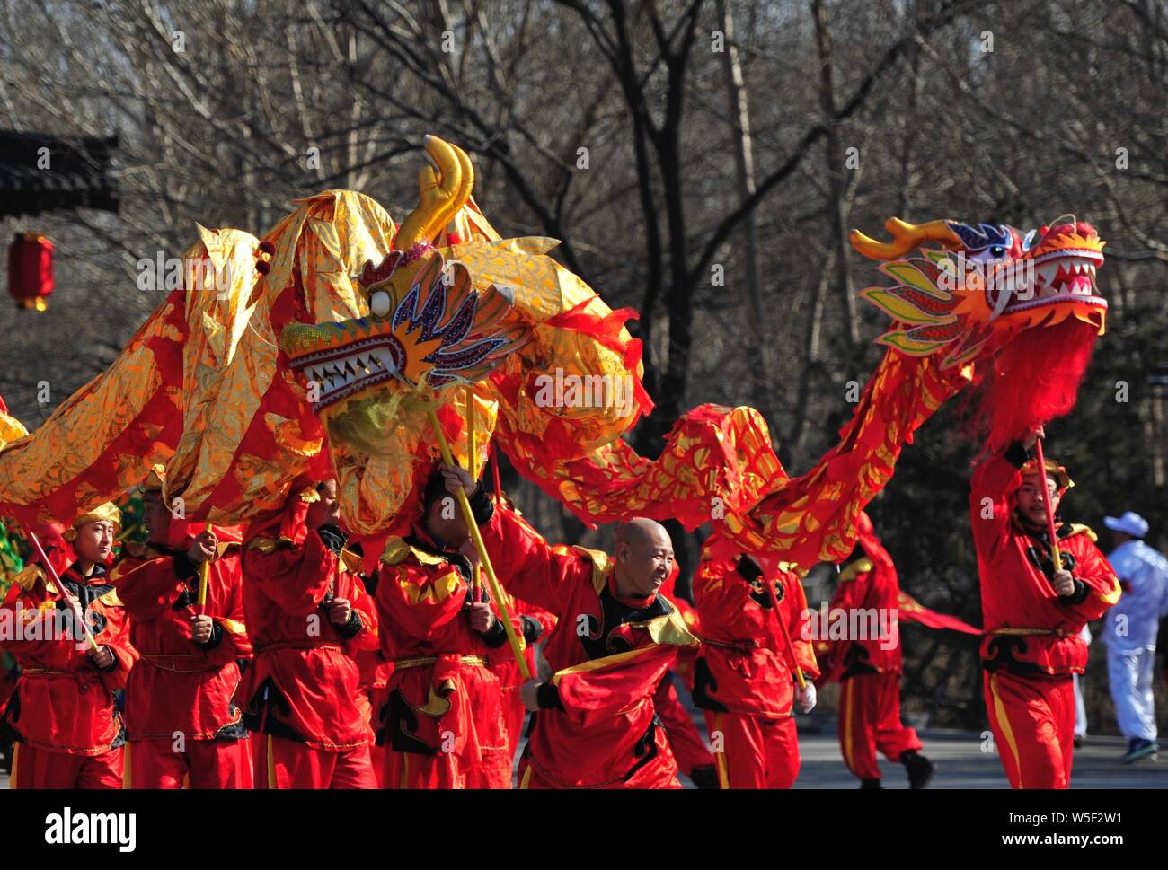 Chinese entertainers perform a dragon dance to celebrate the Dragon ...