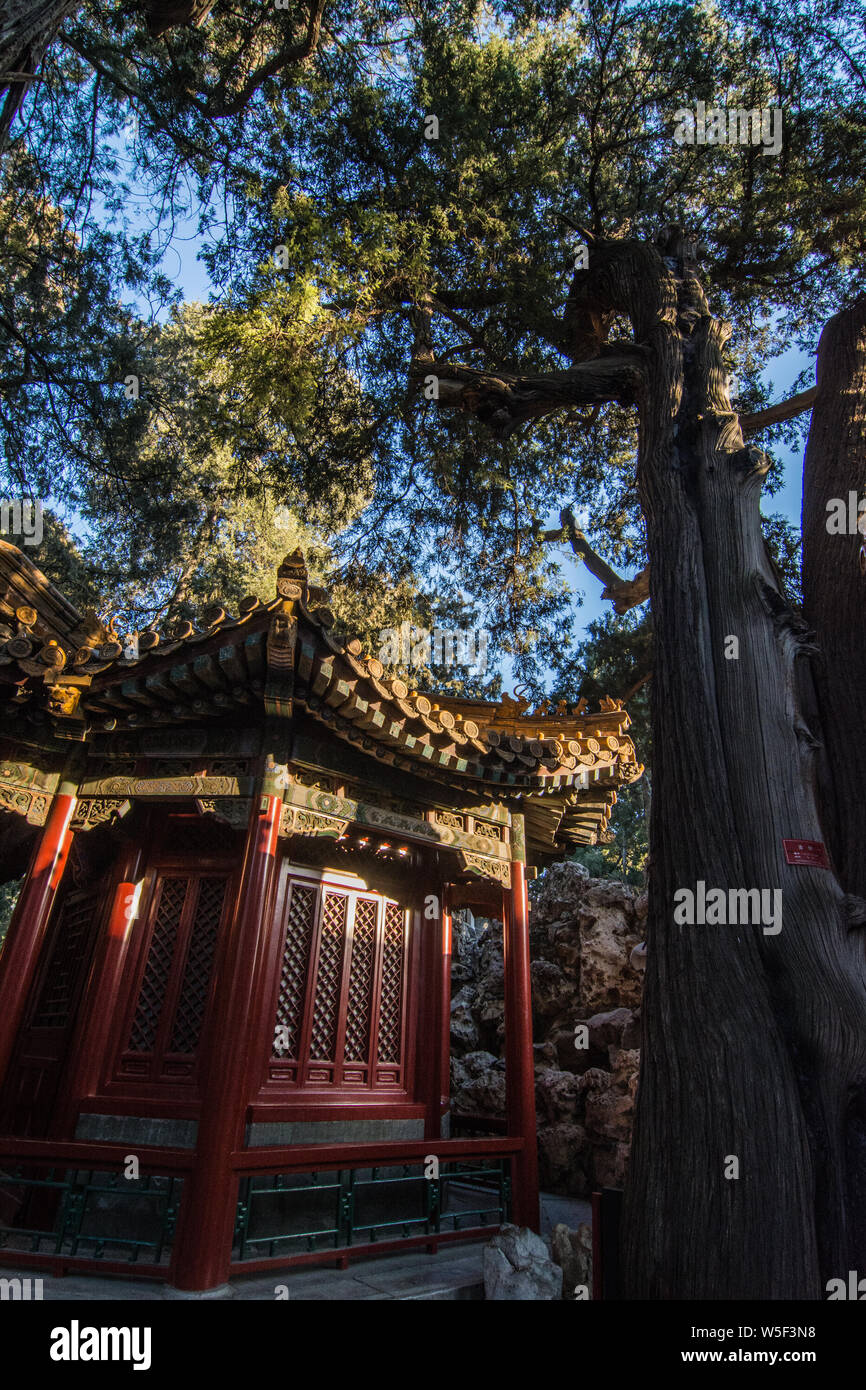 A view of the Palace Museum, also known as the Forbidden City, in ...