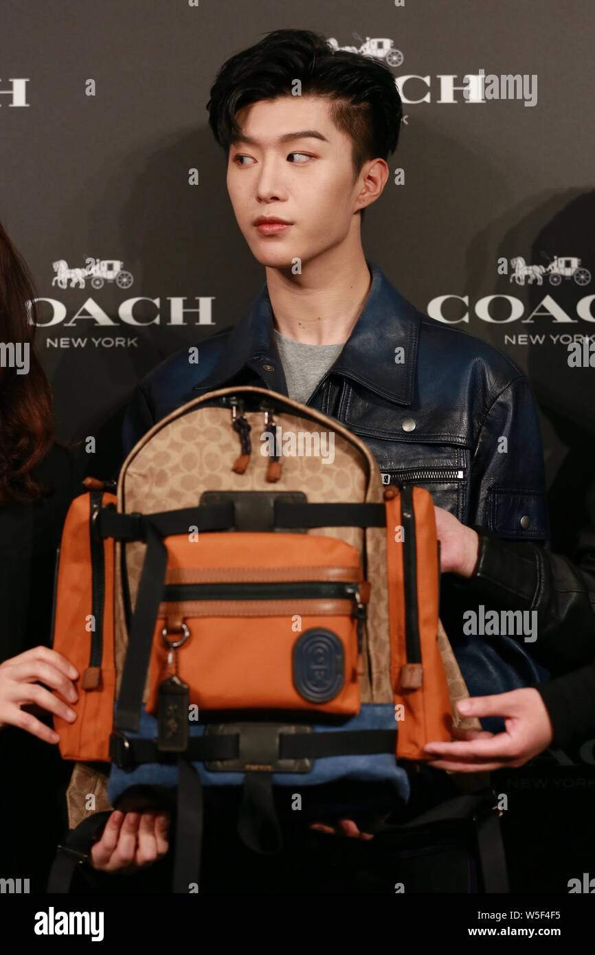 Chinese singer Fan Chengcheng, the younger brother of actress Fan ...