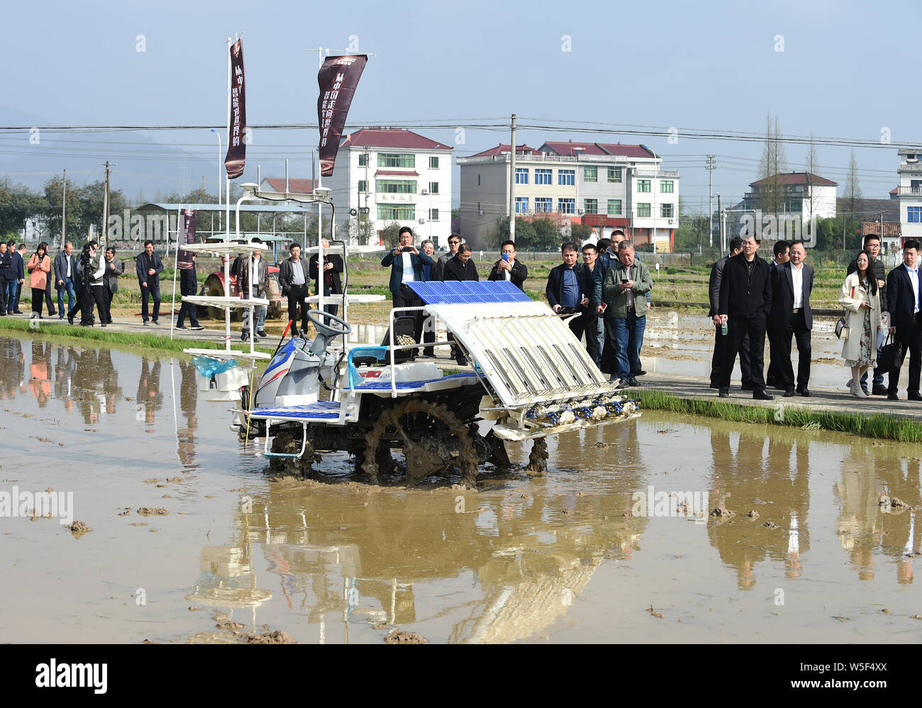 Transplanter hi-res stock photography and images - Alamy