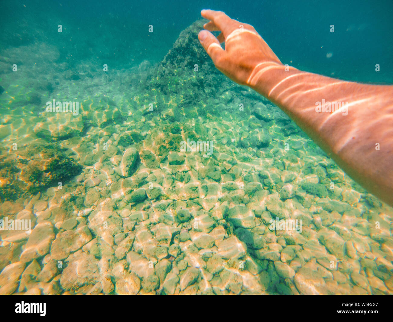 first-person view concept man swimming underwater clear transparent ...