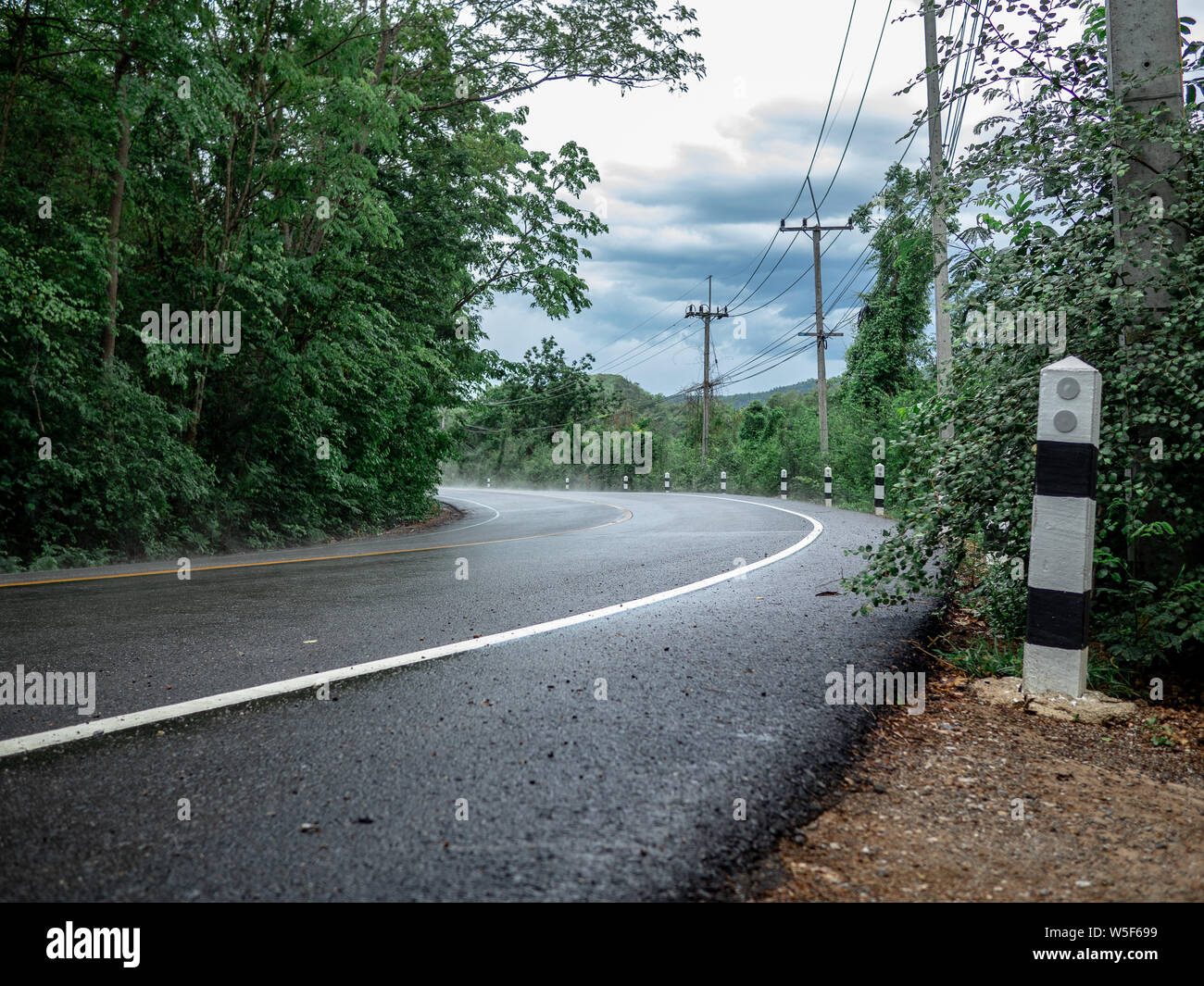 road with trees on both sides, Summer Country Road With Trees Beside ...