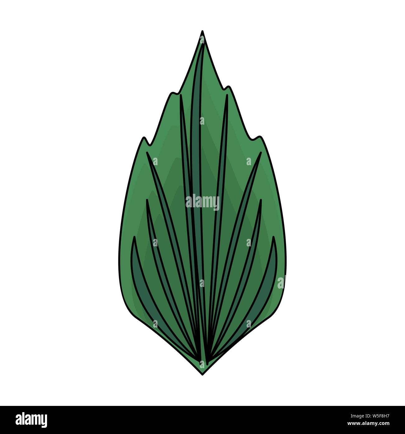 sheet plant nature leaf cartoon Stock Vector Image & Art - Alamy