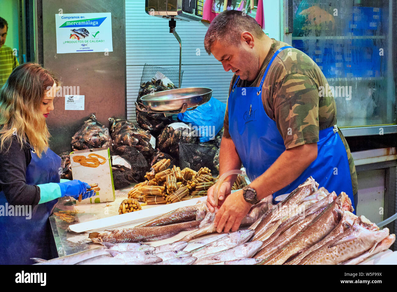 the magnificent fish and shell market in Malaga Andalusia, Spain Stock ...