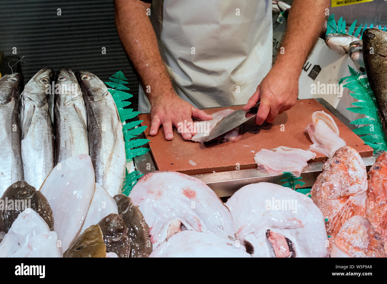 the magnificent fish and shell market in Malaga Andalusia, Spain Stock ...