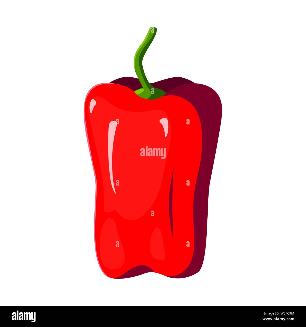 fresh vegetable pepper on white background vector illustration Stock ...