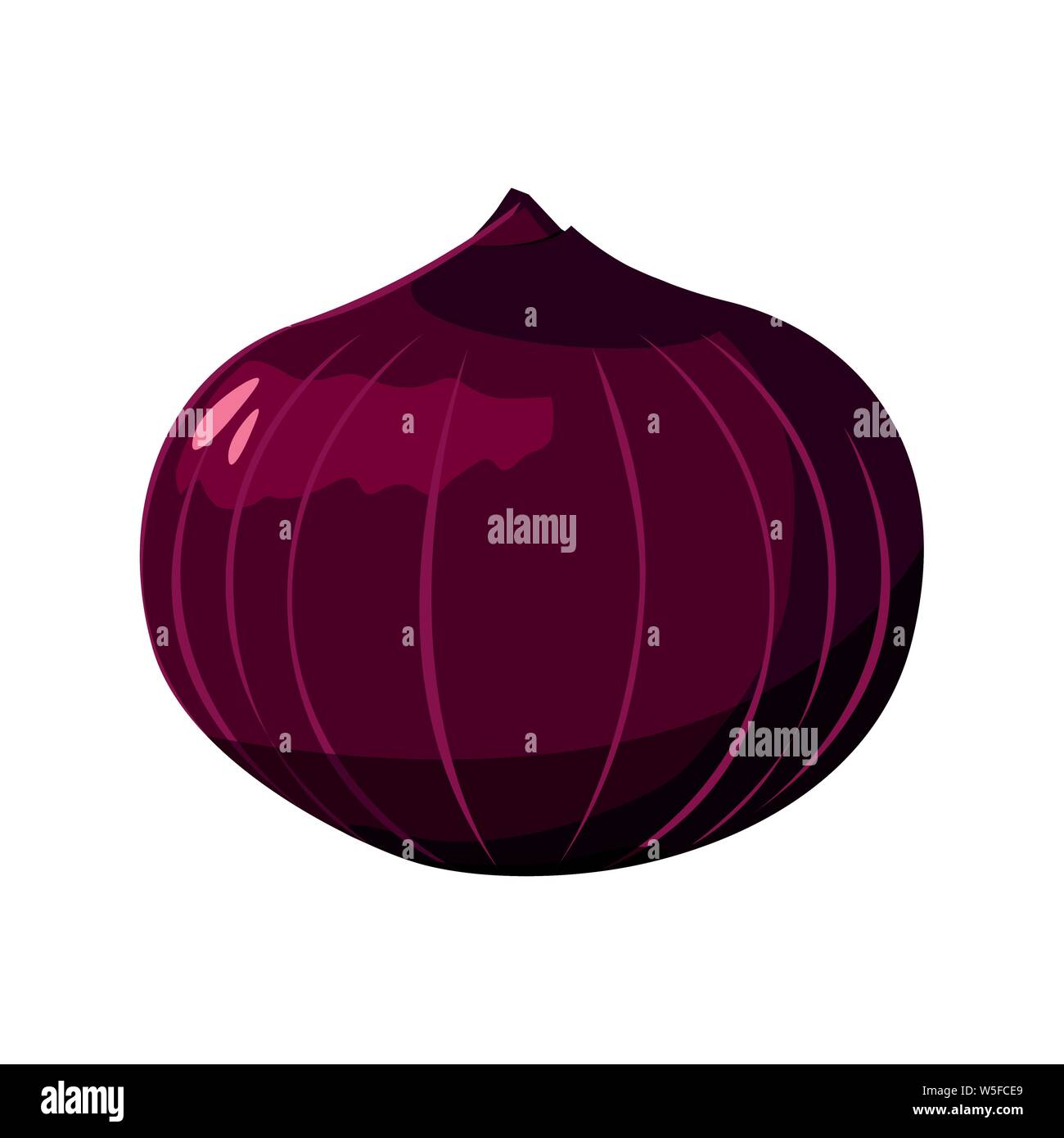 fresh vegetable red onion on white background vector illustration Stock ...