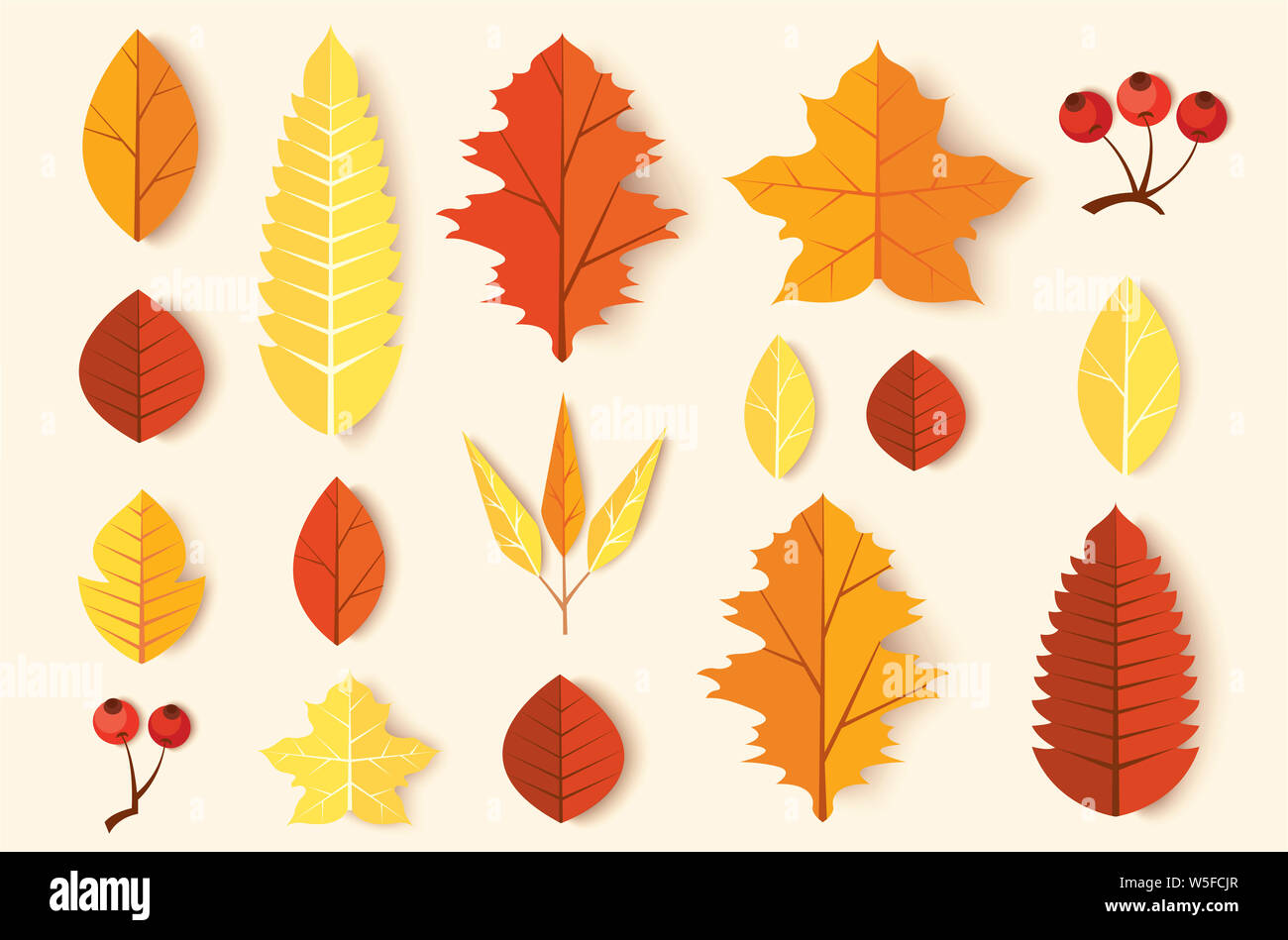 Autumn leaves set Stock Photo - Alamy