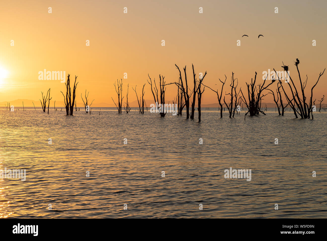 Fish man fishing over lake hi-res stock photography and images - Alamy