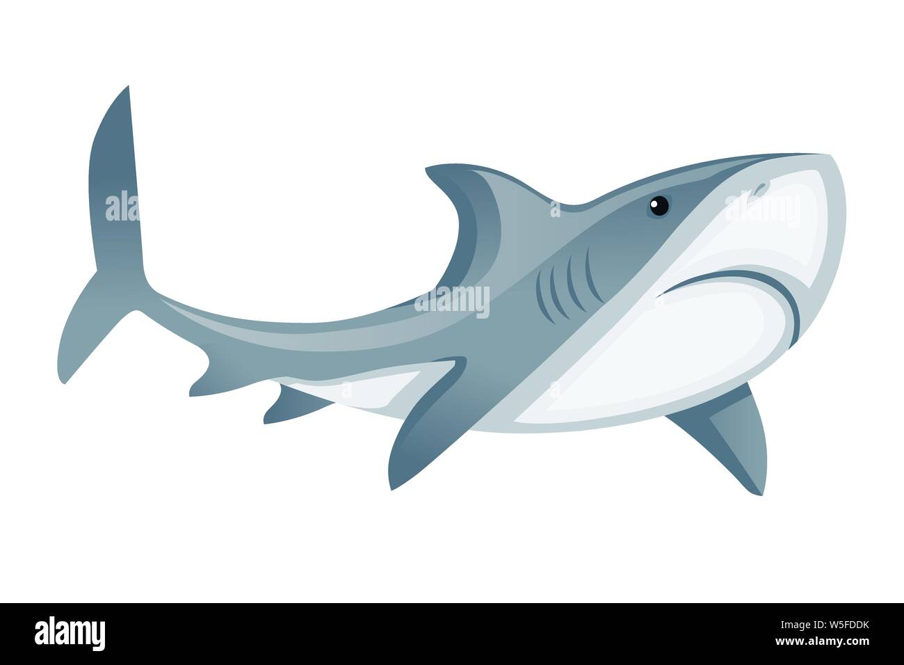 Shark with mouth closed giant apex predator cartoon animal design flat ...