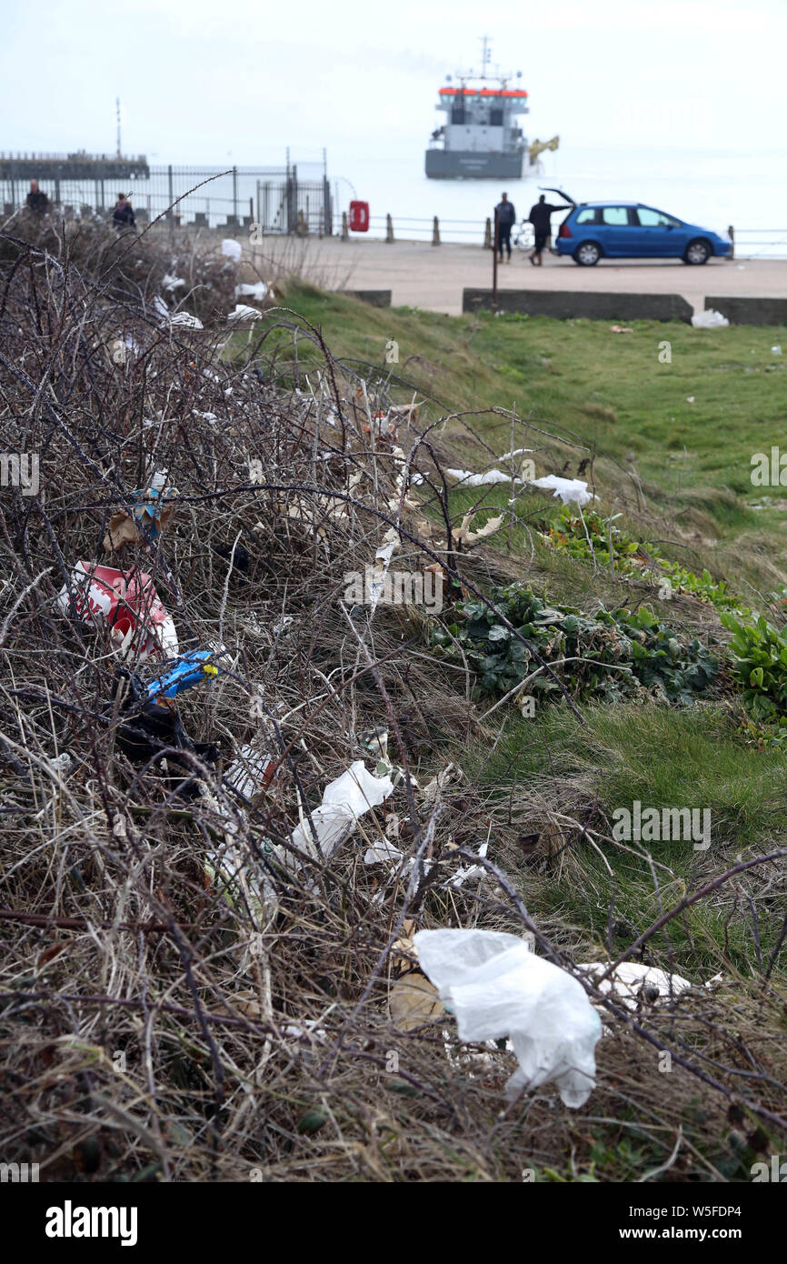 Beach litter uk wildlife hi-res stock photography and images - Alamy