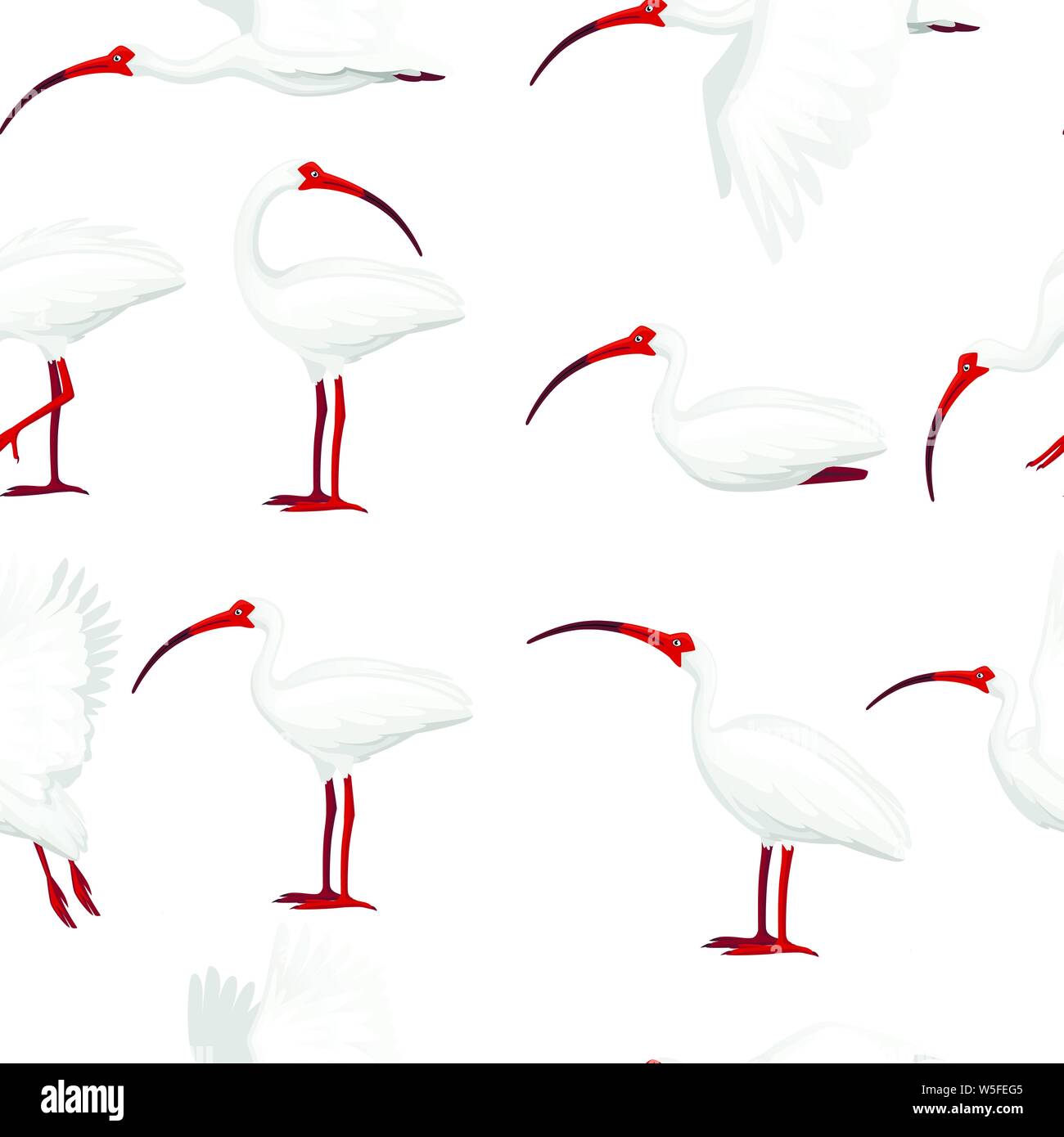 Seamless pattern of american white ibis flat vector illustration ...