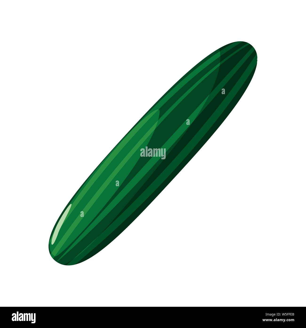 fresh vegetable cucumber on white background vector illustration Stock ...