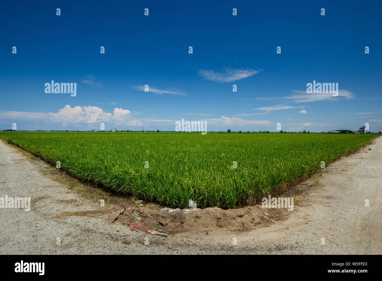 Sekinchan paddy field hi-res stock photography and images - Alamy