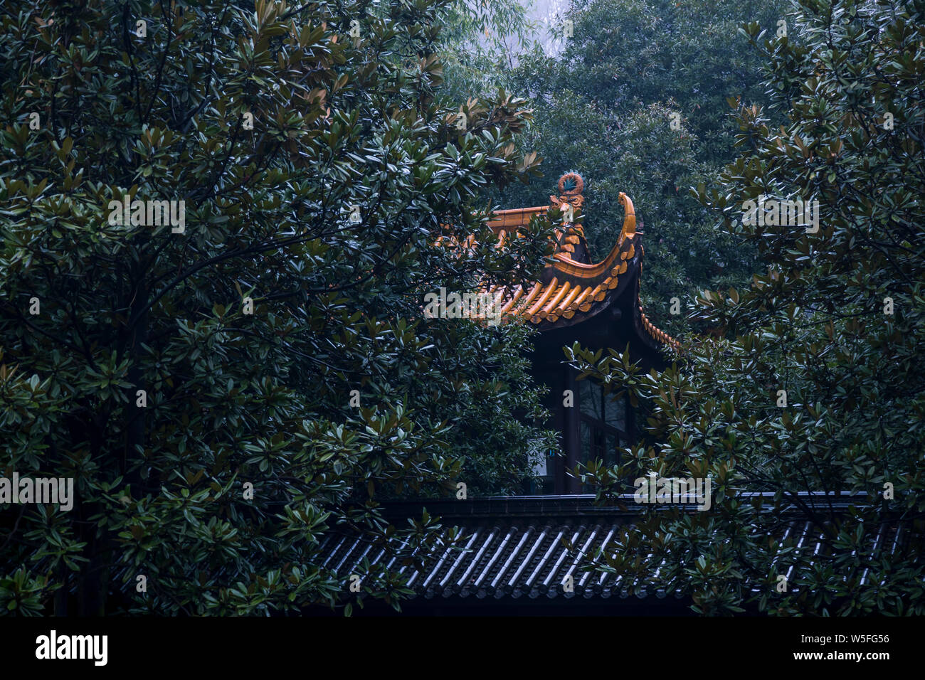 Landscape of the Buddhist Lushan Temple at the Yuelu Mountain after a ...