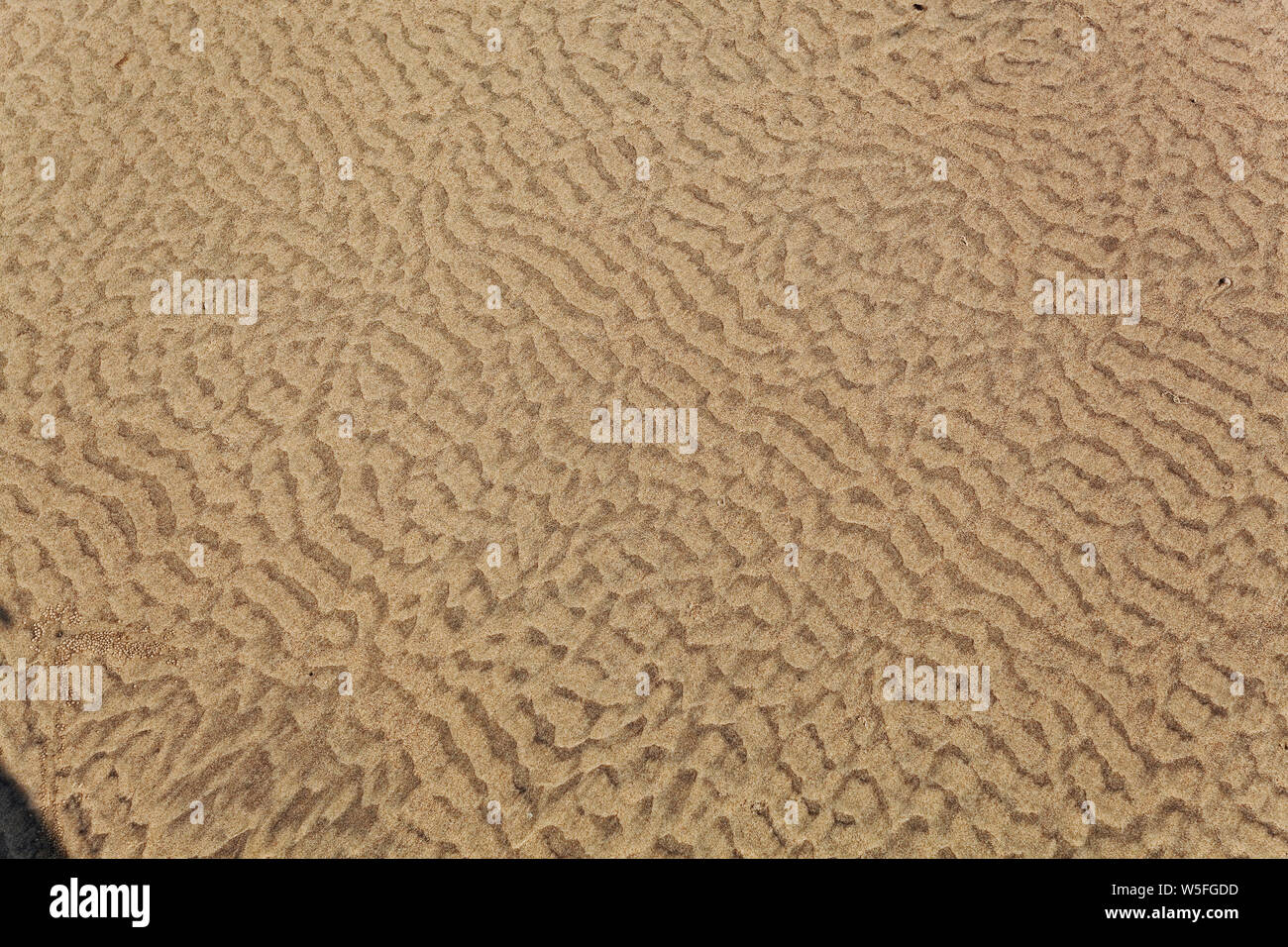 Aare ware beach view showing pattern in sand.Ratnagiri,Maharashtra ...