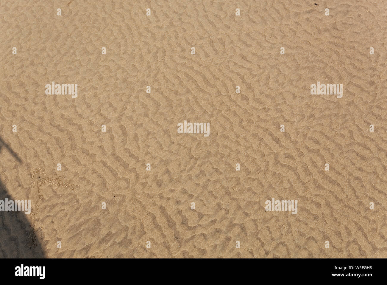 Aare ware beach view showing pattern in sand.Ratnagiri,Maharashtra ...
