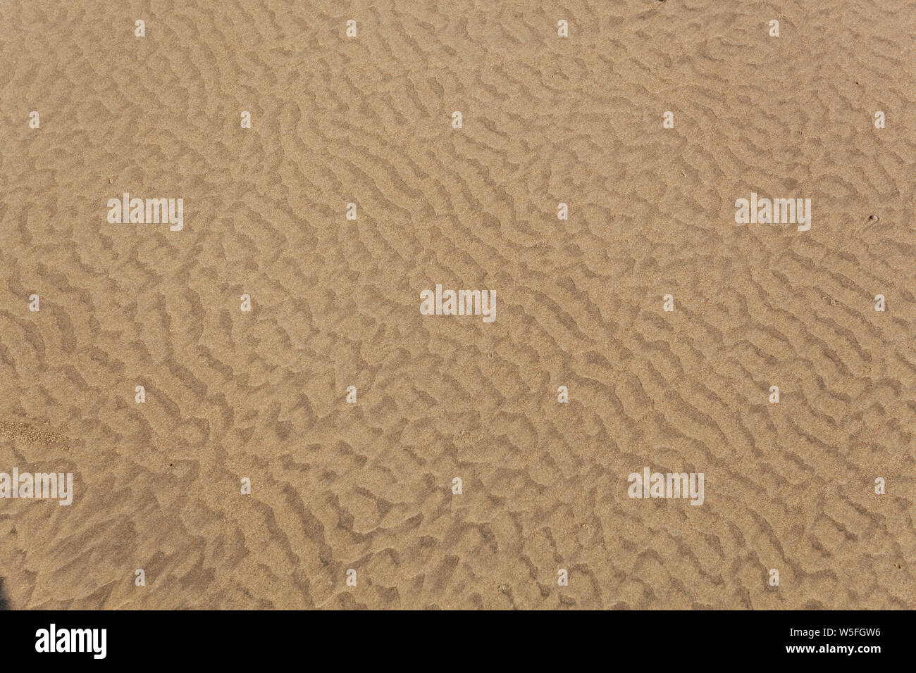 Aare ware beach view showing pattern in sand.Ratnagiri,Maharashtra ...