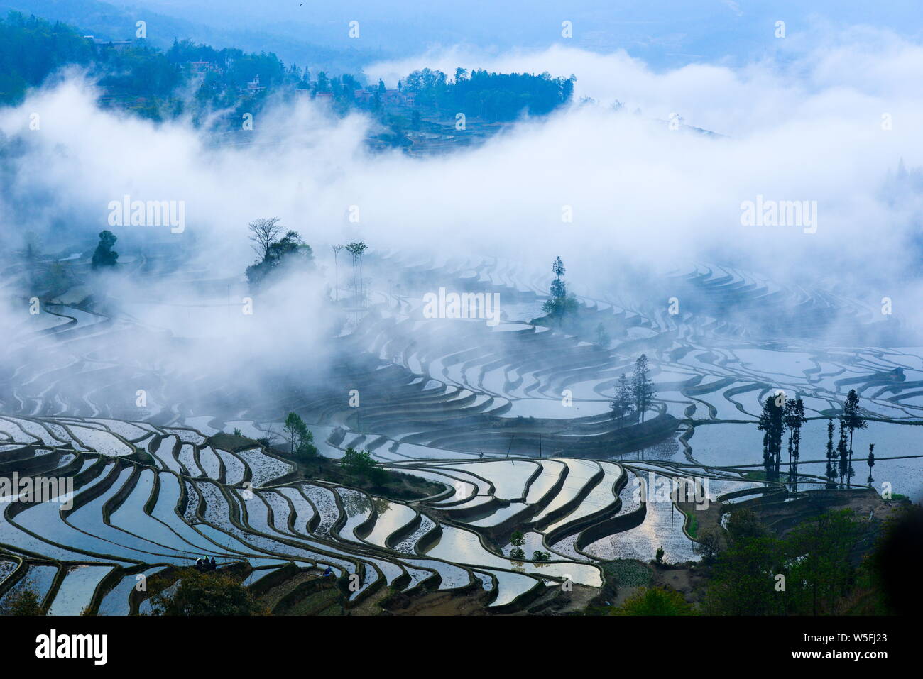 --FILE--Landscape of terraced rice fields of the Yuanyang rice terraces ...