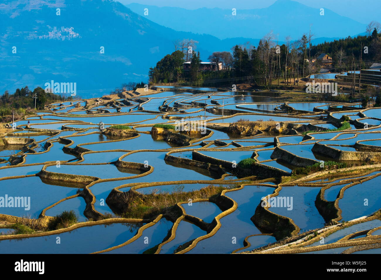 --FILE--Landscape of terraced rice fields of the Yuanyang rice terraces ...