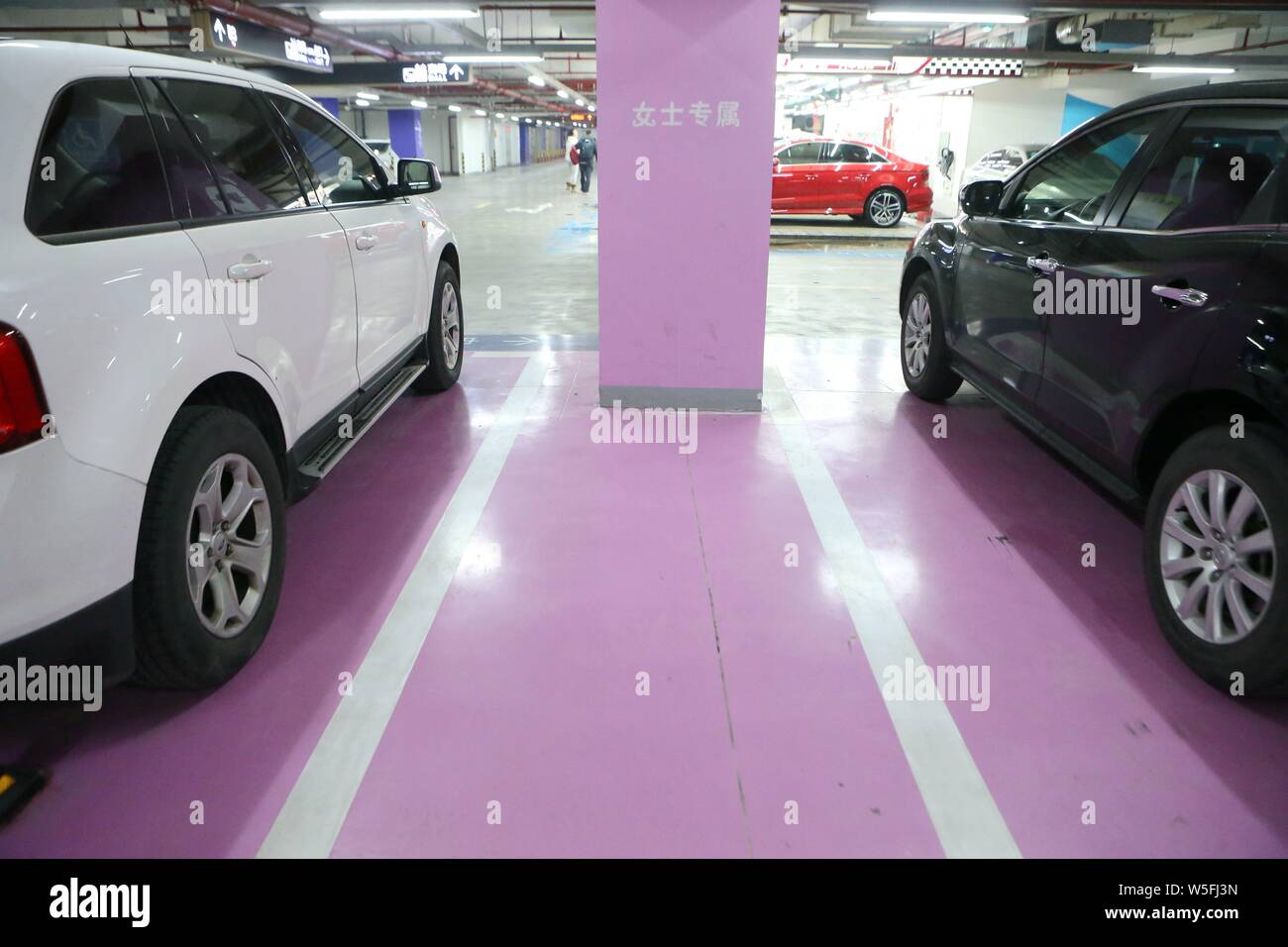 View of pink parking spaces for female drivers in the parking lot of a ...