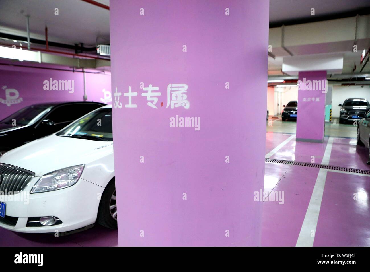 View of pink parking spaces for female drivers in the parking lot of a ...