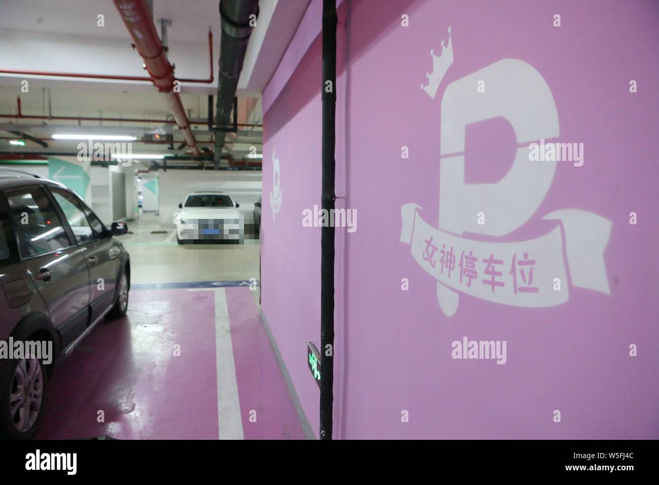 View of pink parking spaces for female drivers in the parking lot of a ...