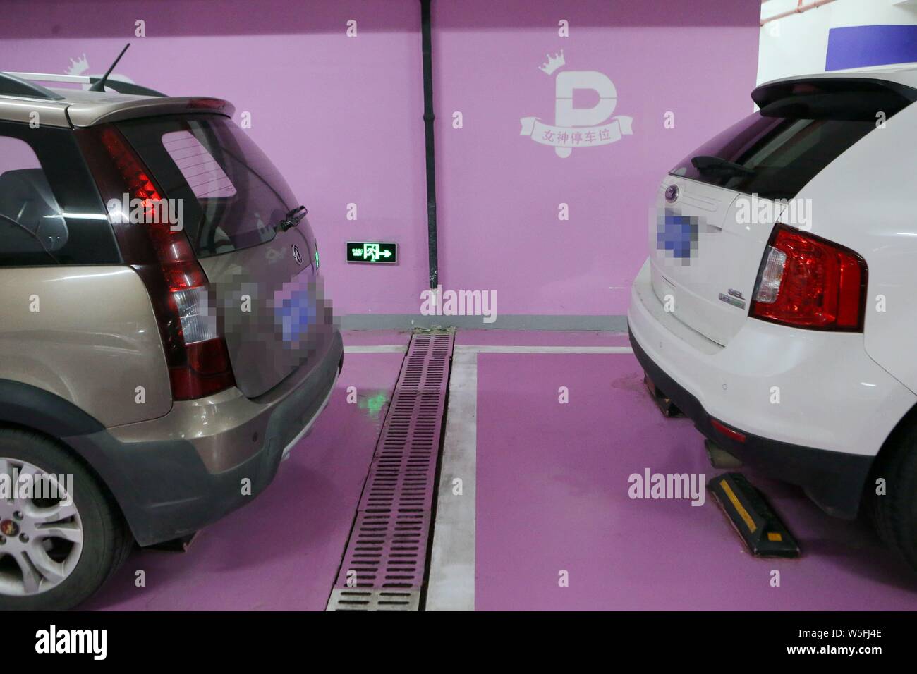 View of pink parking spaces for female drivers in the parking lot of a ...