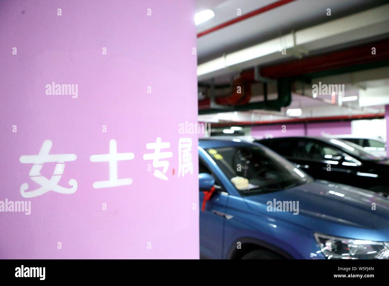 View of pink parking spaces for female drivers in the parking lot of a ...