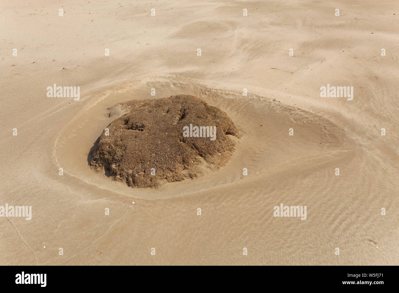 Aare ware beach view showing pattern in sand.Ratnagiri,Maharashtra ...