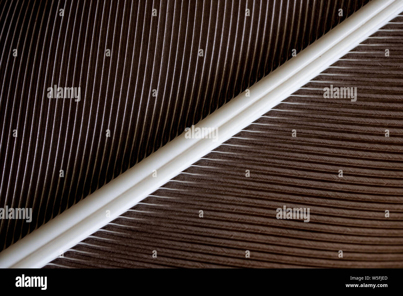 abstract background bird feather texture Stock Photo - Alamy
