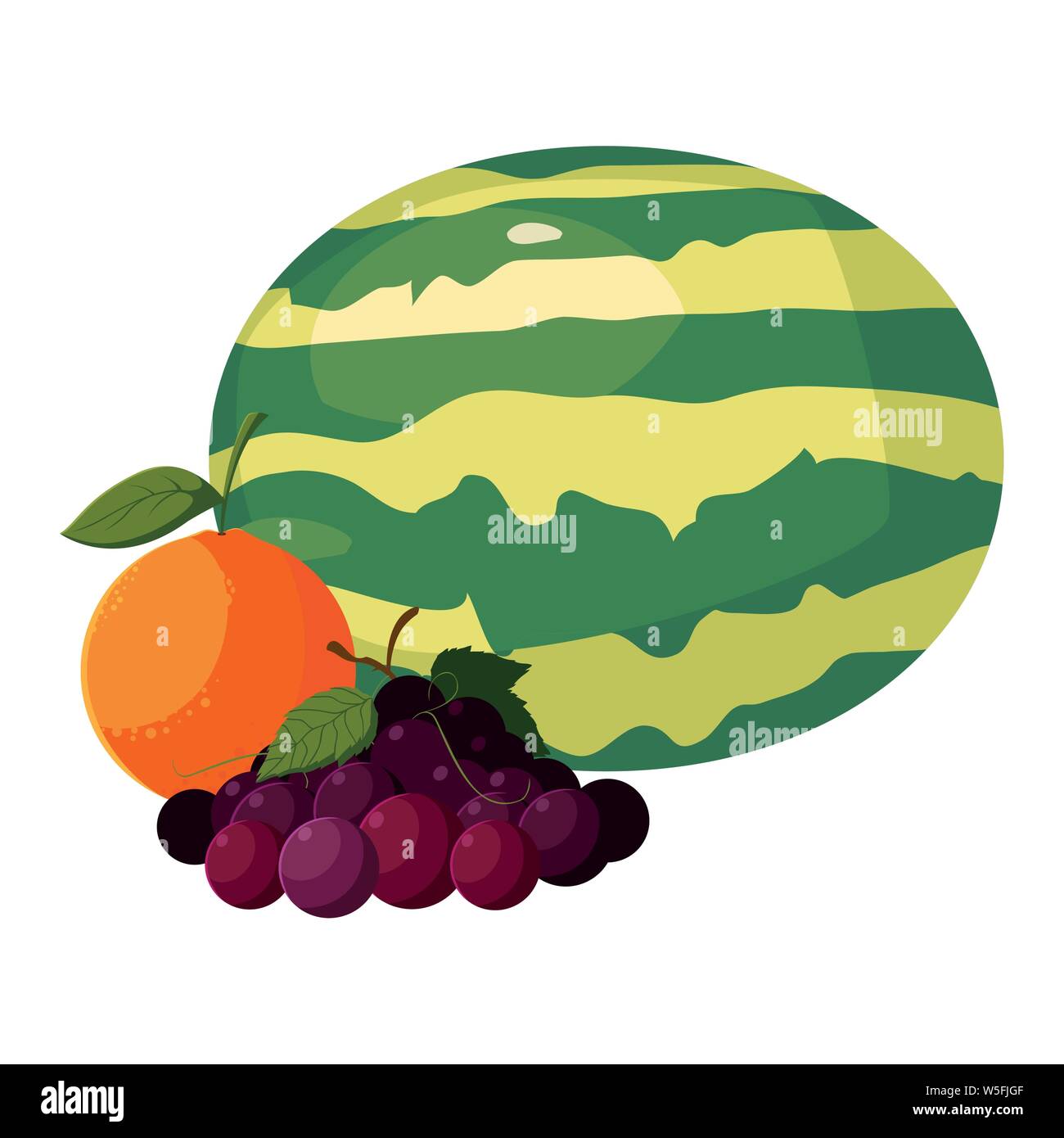 fresh fruits watermelon orange grapes vector illustration Stock Vector ...